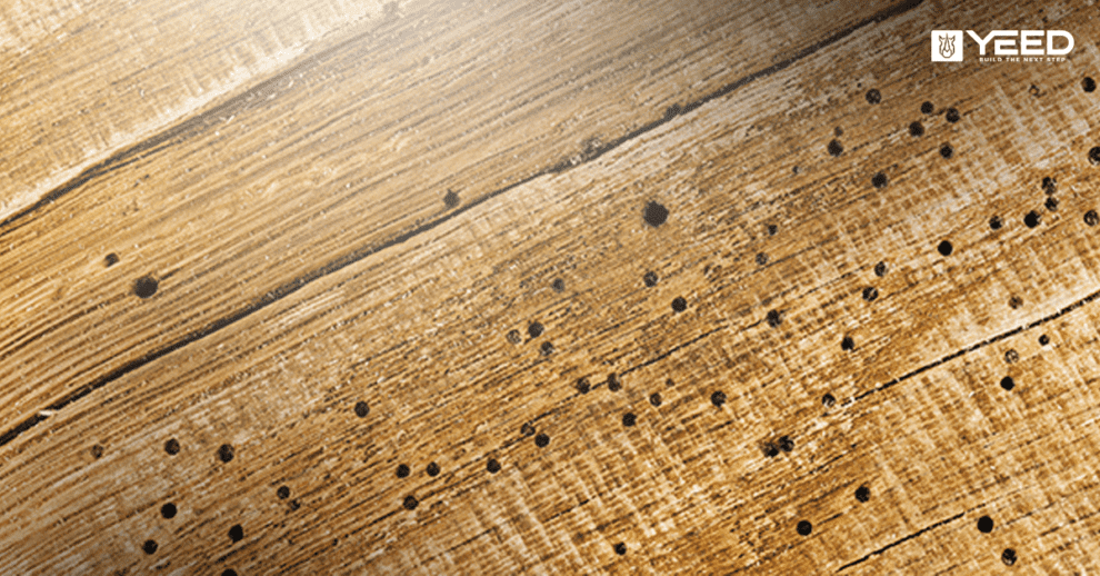 The ideal width of a terrace - YeedGroup